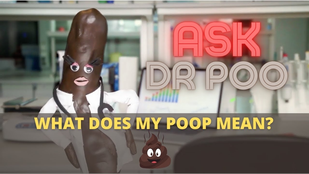 What Does My Poop Mean - YouTube