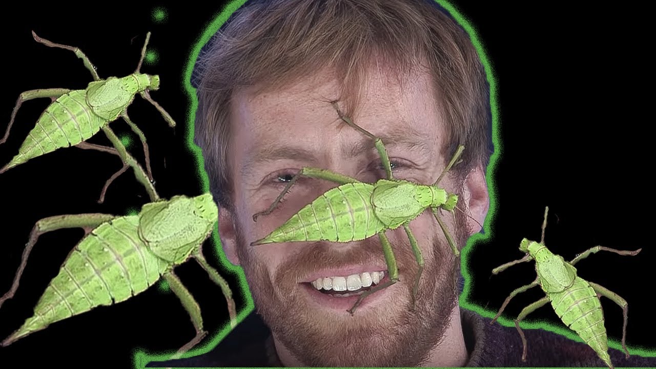 The Making of Bugface | Earth Unplugged - YouTube