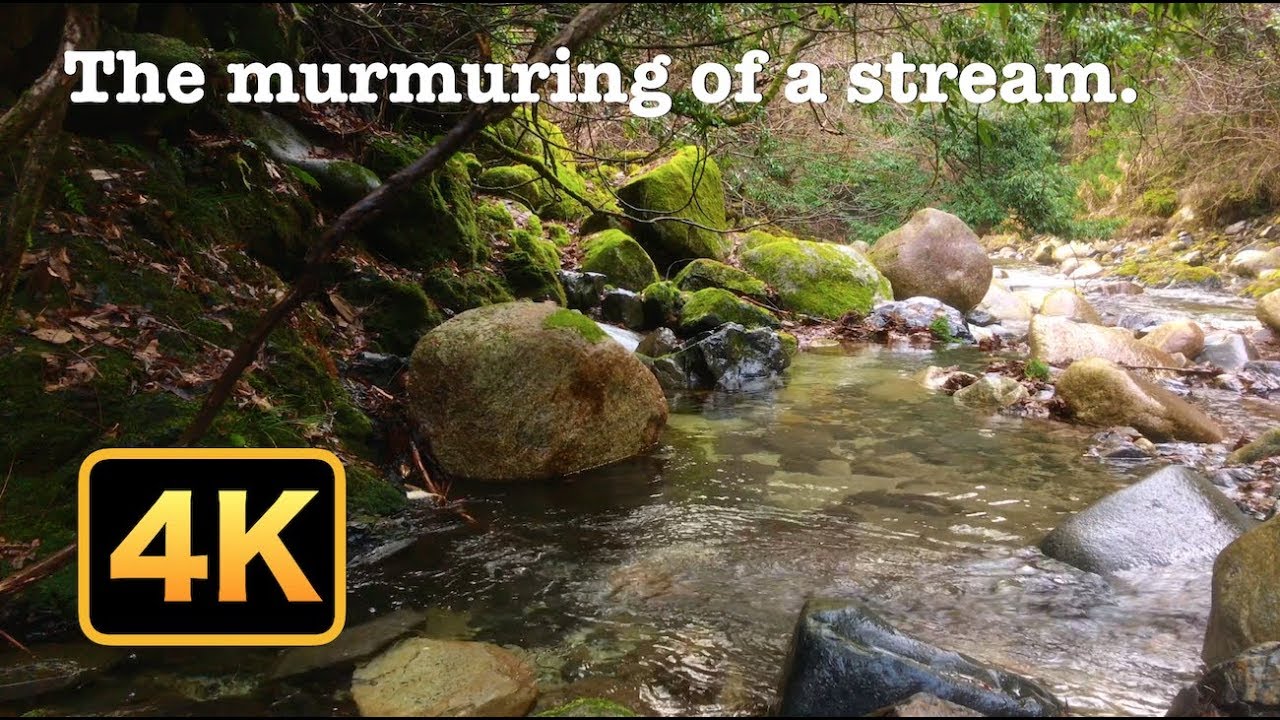 [4K]The murmuring of a stream. **Nature relax 自然 癒し 集中** - YouTube