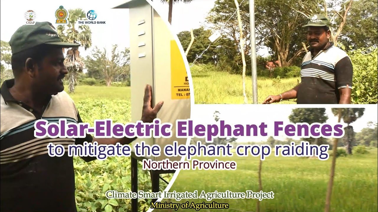 The CSIAP erects Solar Electric Elephant Fences in Northern Province ...