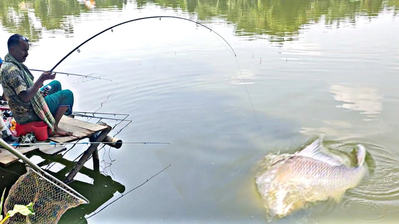 Hunting giant angry ruho fish by hook | hook fishing video | ছোট মাছের ...