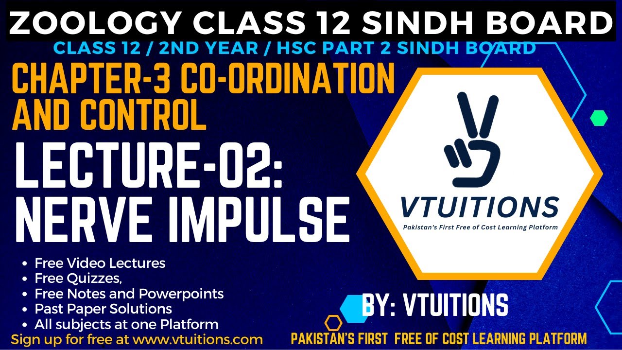 Nerve Impulse | Chapter 3 Co-ordination and Control | Zoology Class 12 ...