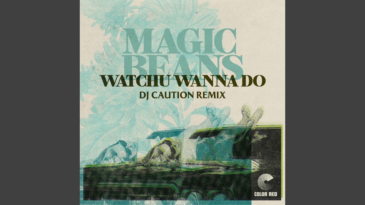 Watchu Wanna Do (DJ Caution Remix) - YouTube