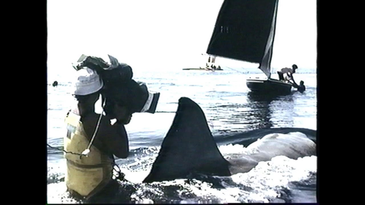 Jaws 2(1978) Home Video/DVD Trailer - YouTube