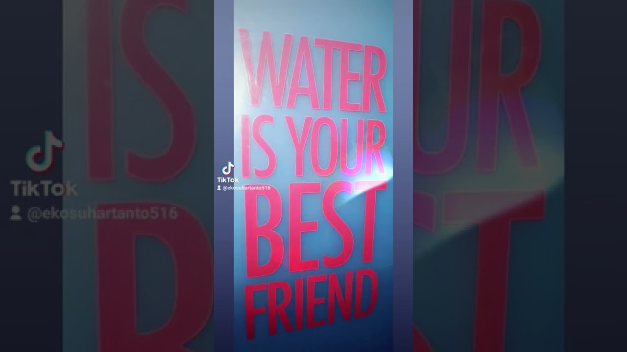 water is your best friend - YouTube