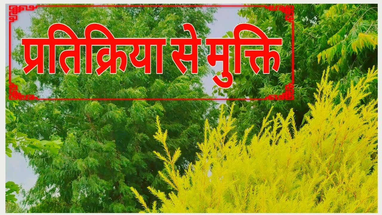 !! जीवन की दिशा !! #pratikriya #mukt. #jeevan #gyan #samajh#sarthak ...