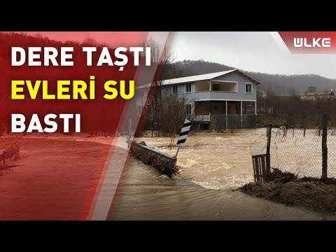 Şile'de sağanak nedeniyle derenin taşması sonucu bazı evleri su bastı