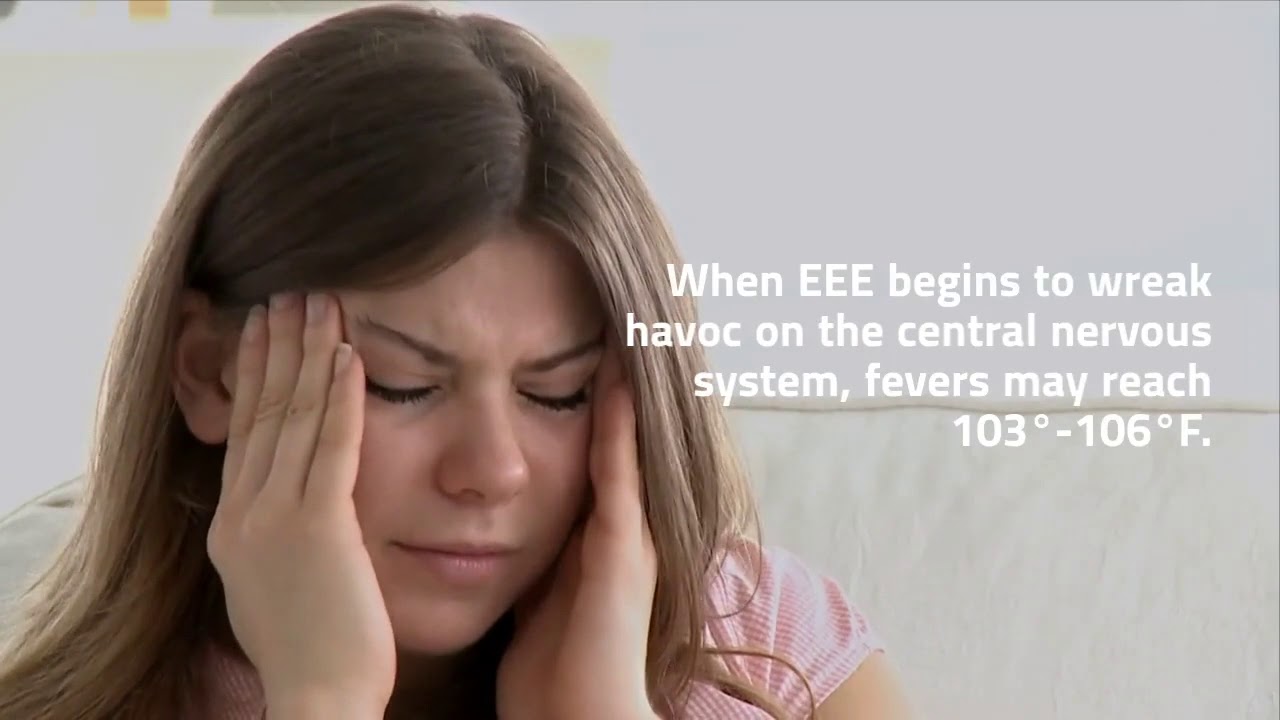 EEE Virus 2019: Facts, Symptoms, and Natural Prevention EEE Virus 2019 ...