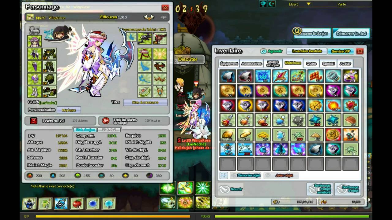 Elsword FR] Stuff, build et pet - YouTube
