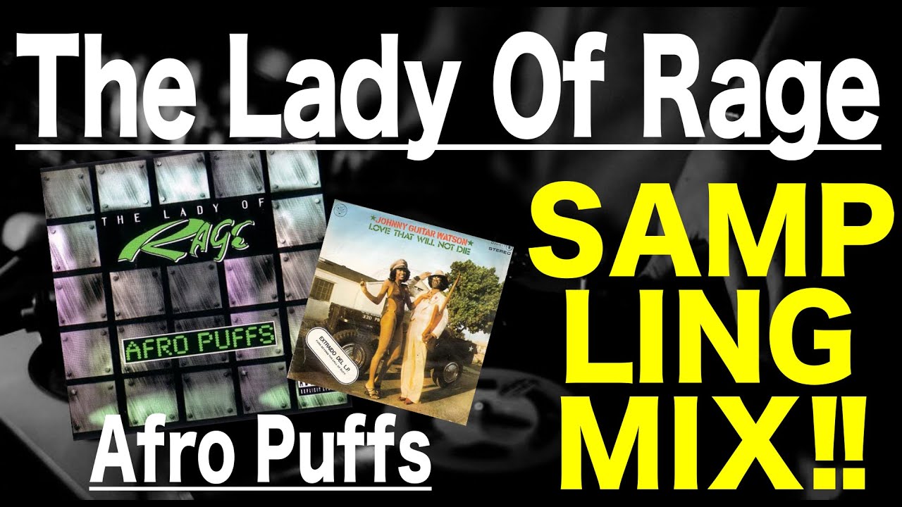 【Hip Hop R&B Sampling MIX】The Lady Of Rage / Afro Puffs - YouTube