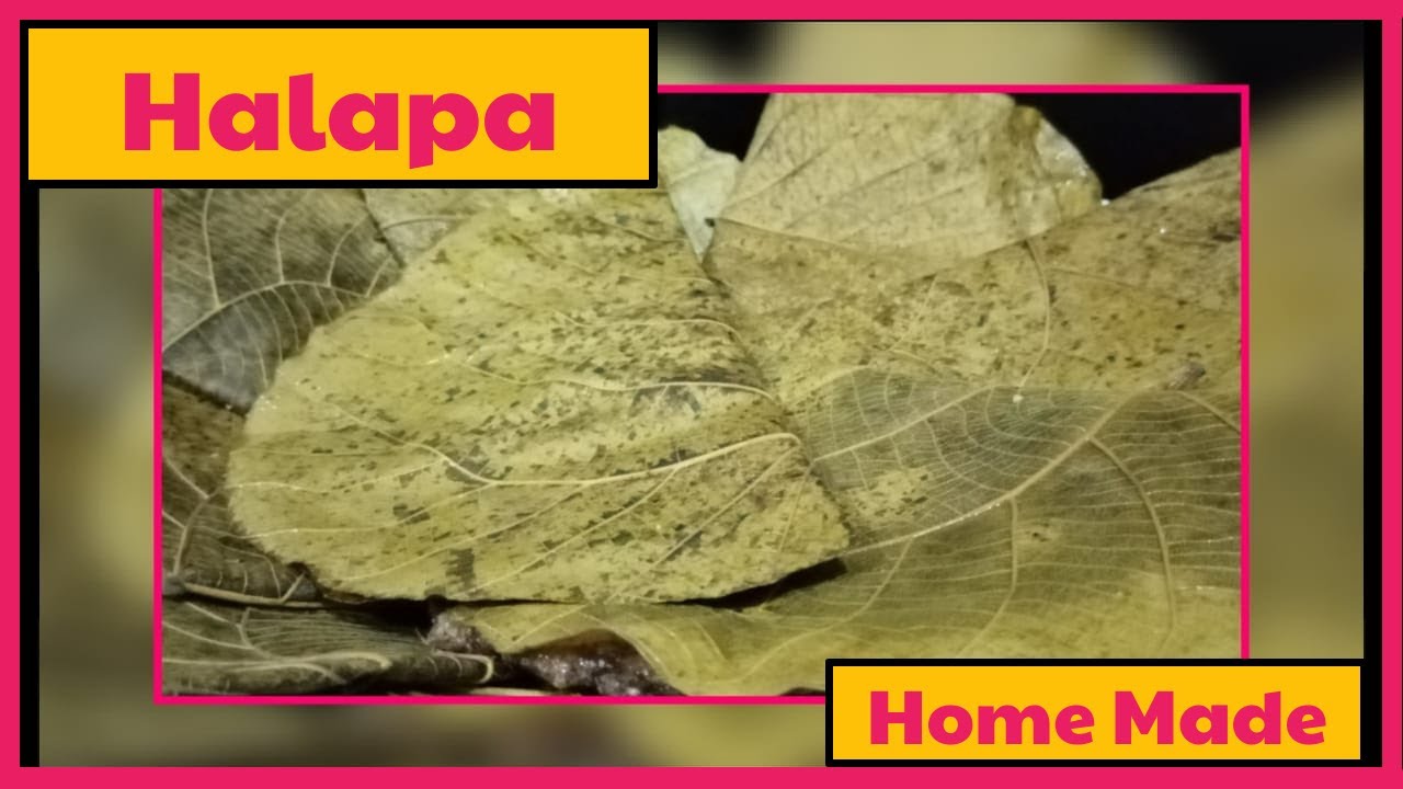 Sri Lankan Finger Millet😍 Halapa😍 Episode - 03 - YouTube