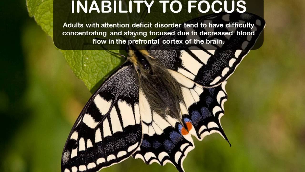 Adult Attention Deficit Disorder (ADD) Trait - Inability to Focus - YouTube