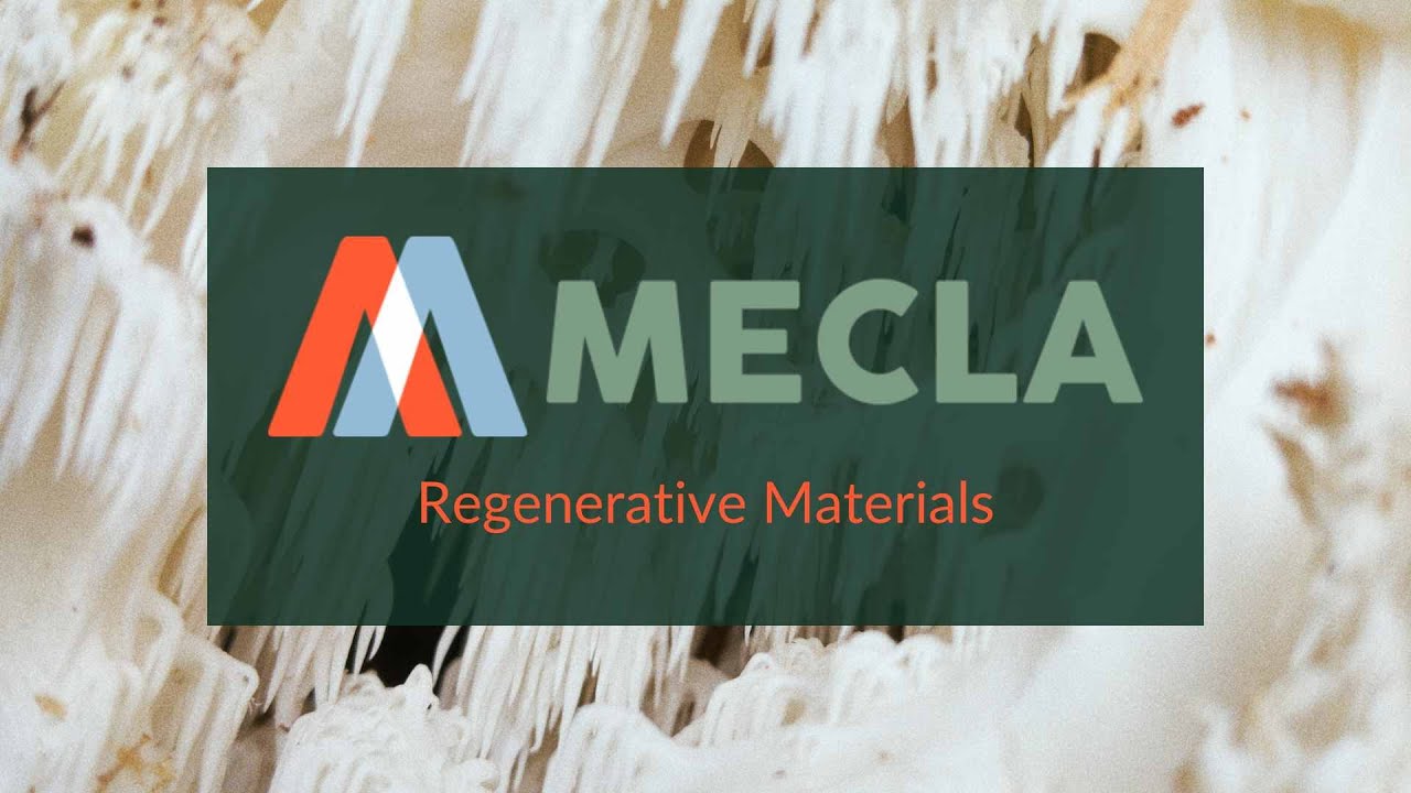 MECLA Spotlight on regenerative materials | Amanda Sturgeon - YouTube