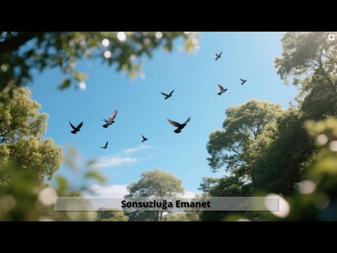 Sonsuzluğa Emanet (Alt Yazılı)