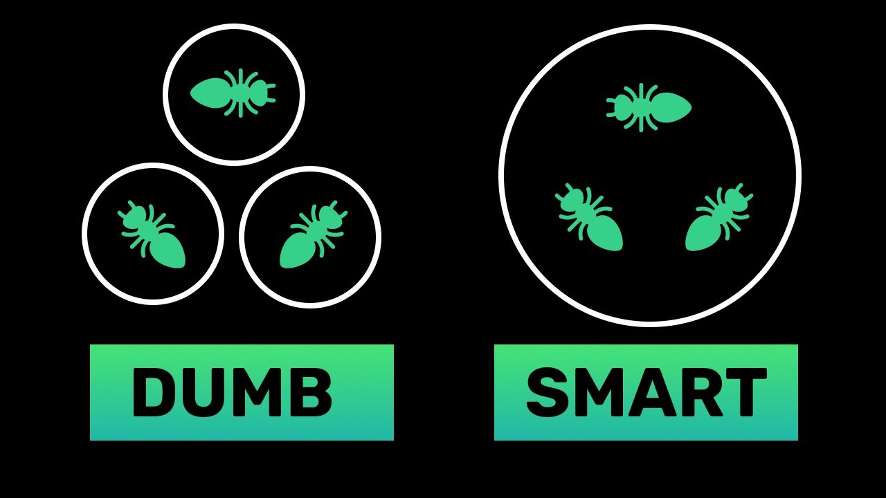 How Smart is Just a lot of Stupid - YouTube