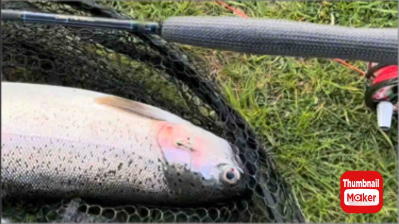 Brick Farm Trout Fishery - Testing Out My New Bloke Custom Built Fly ...