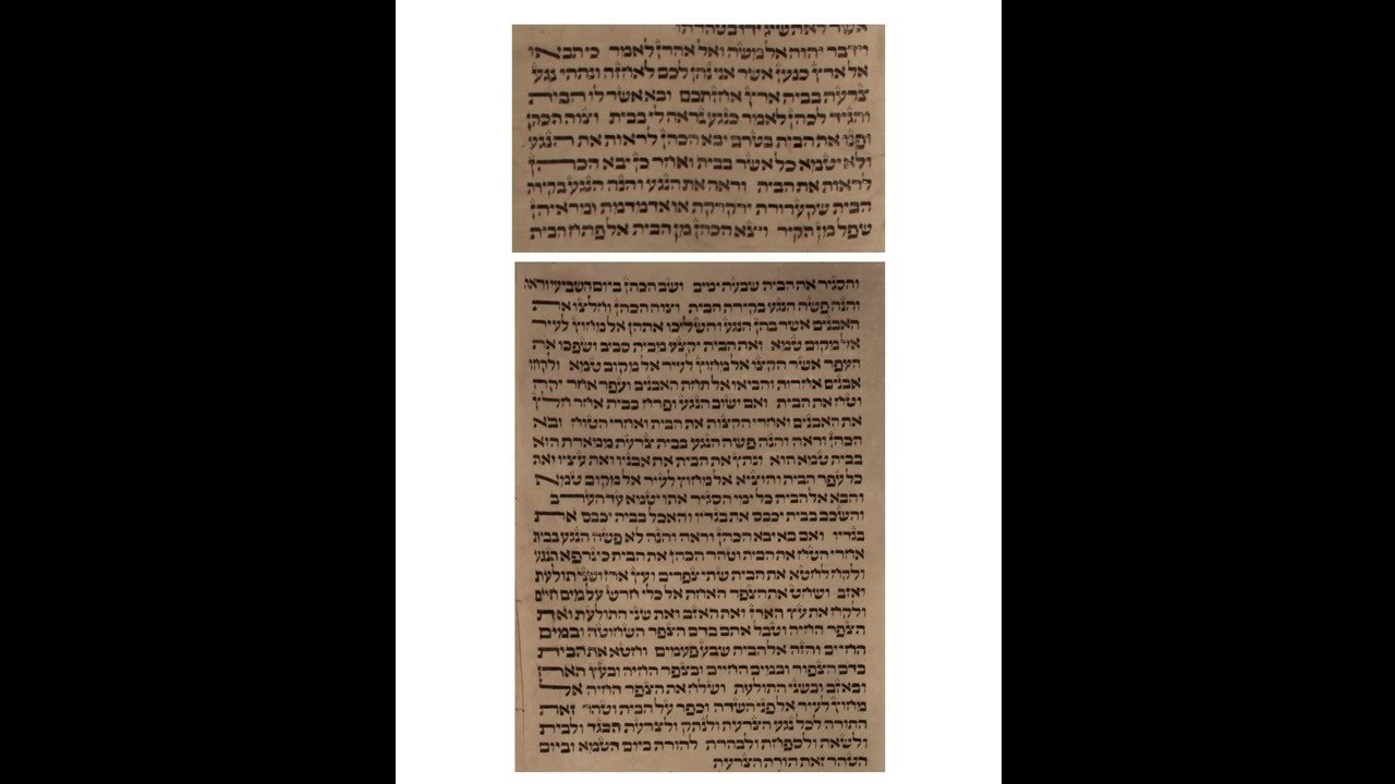 5th Aliyah, Leviticus 14,46-48 - YouTube