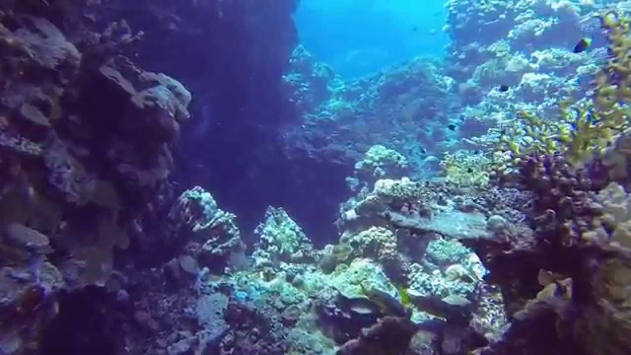 Dive #10 Sataya El Malahi - YouTube