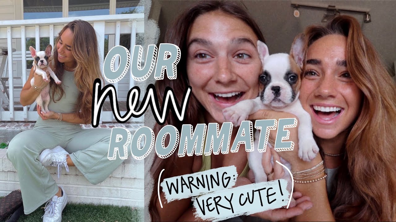 MEET OUR NEW TINY CUTE ROOMMATE | weekend vlog - YouTube