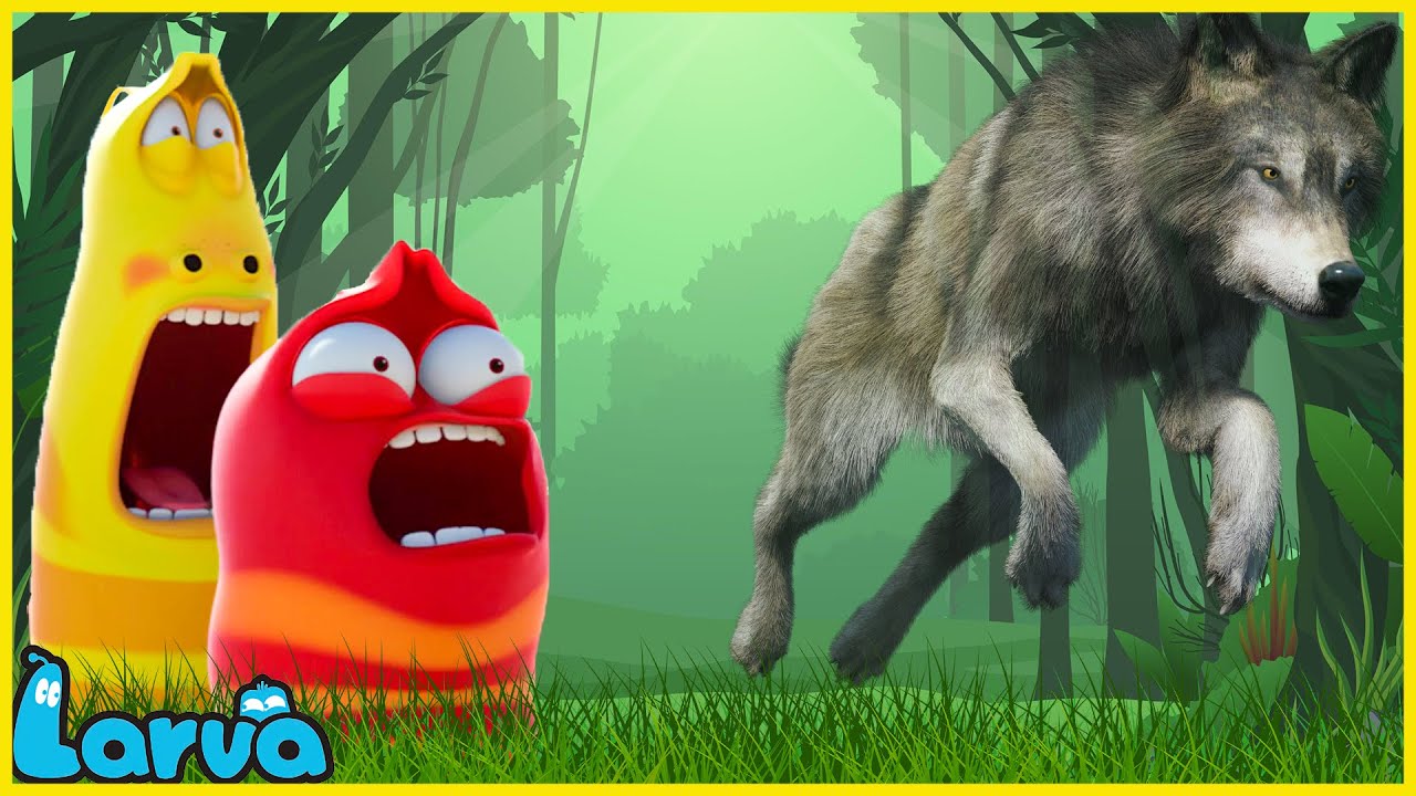 Werewolf Best Episodes Collection Larva Cartoon Asia 🅻🅰🆁🆅🅰 - YouTube