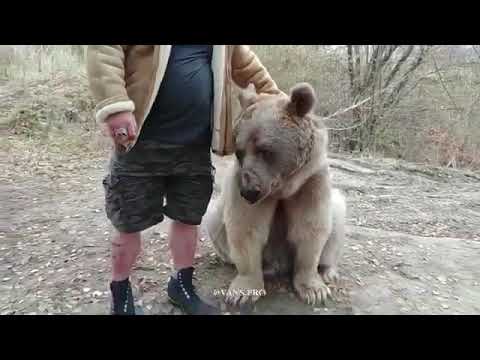 Fame | Wayne William Howlett net worth and salary income estimation Jan ...