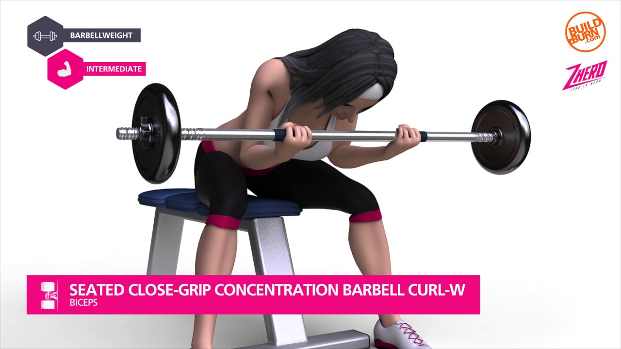Seated Close Grip Concentration Barbell Curl W Youtube