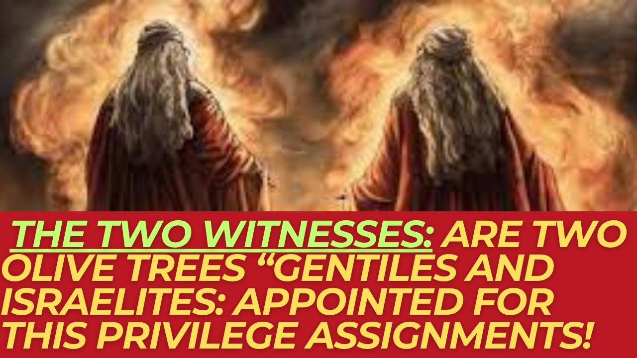 #WHO ARE THE TWO WITNESSES OF REVELATION 11? - YouTube
