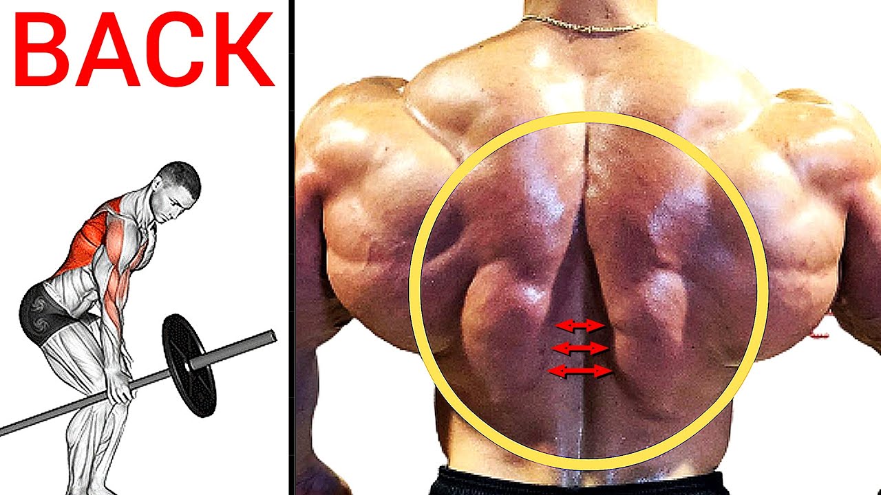 Back Workout Gym to Build Wider Lat and Bigger Lat - YouTube