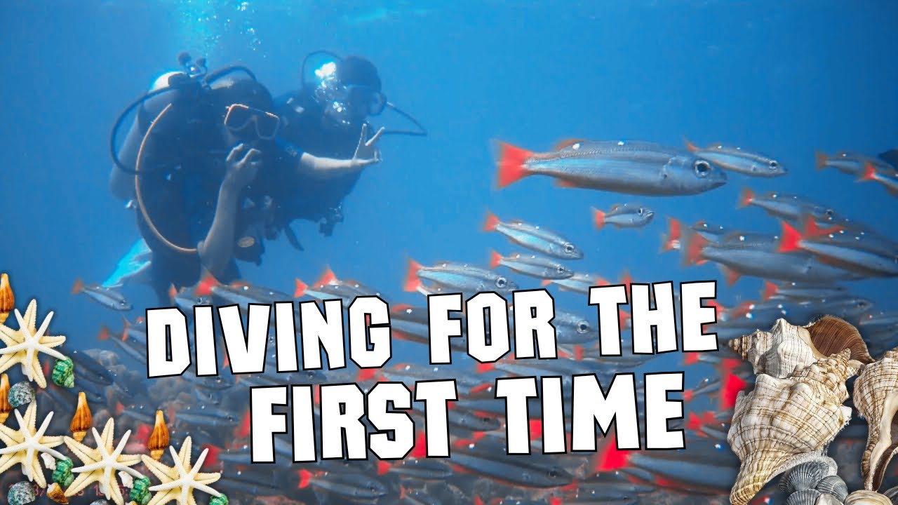 Scuba Diving 🤿 in Andaman & Nicobar Island | Havelock Island | Elephant ...