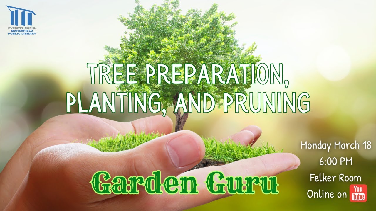 Garden Guru: Tree Preparation, Planting and Pruning - YouTube