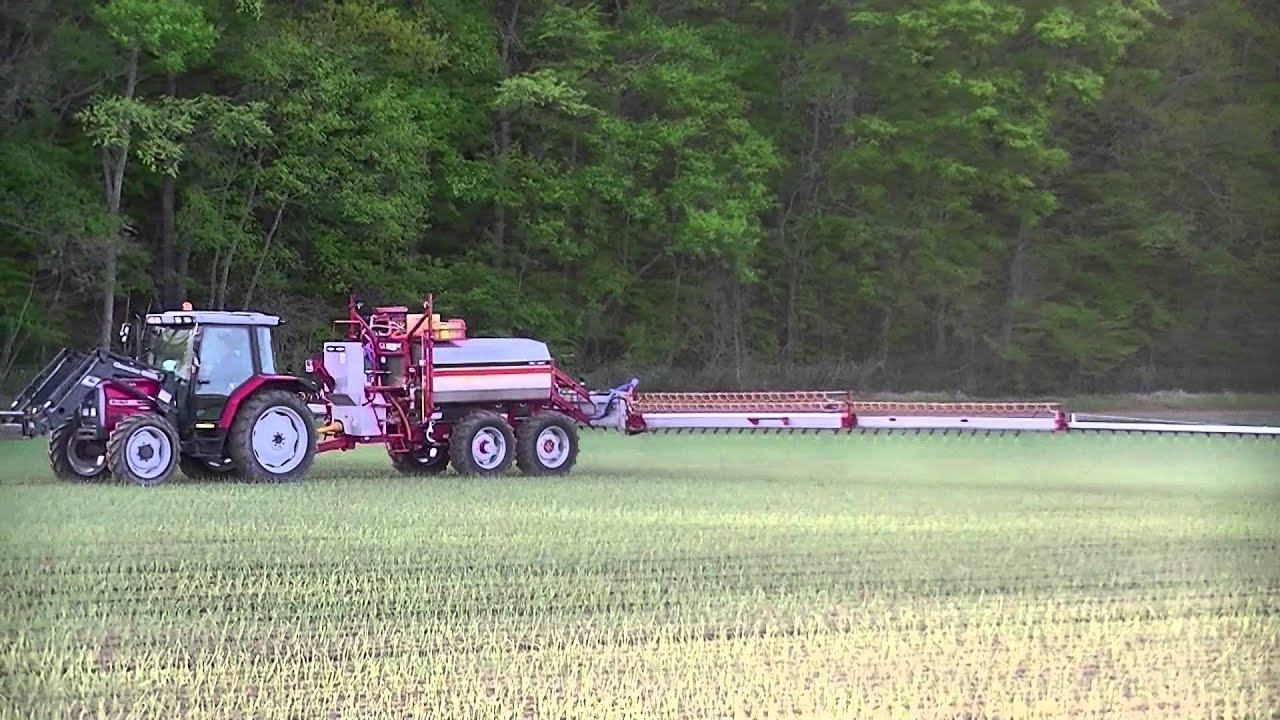 BIHORO ORIGINAL - YouTube