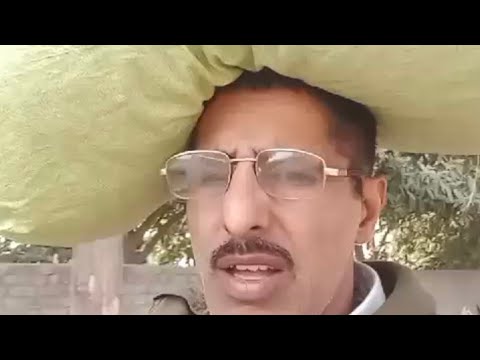 Gau Daan Maha Daan #gaumata #gaumatakijai #gaumatakiseva ...