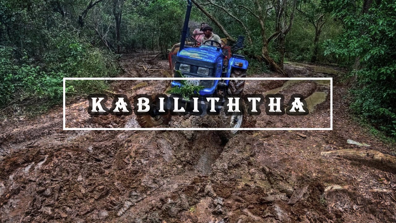 Kabiliththa|කැබිලිත්ත දේවාලයට ගිය ගමන|Travel with STRAY - YouTube