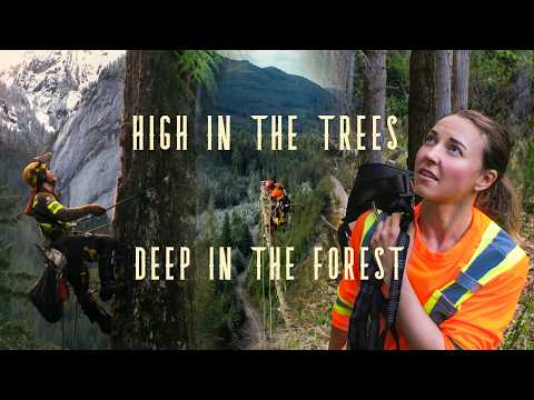 I Followed Tree Climbers Into the Forest