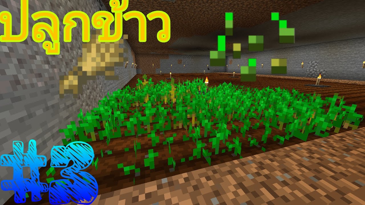 Minecraft 1.18.2 mc-zero.net :EP3 ปลูกข้าว - YouTube