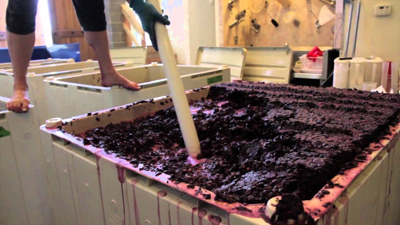 The Cellar at Barrel Oak Winery - YouTube