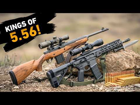 Top 10 Best 5.56 NATO Rifles Dominating the Rifle World Right Now!