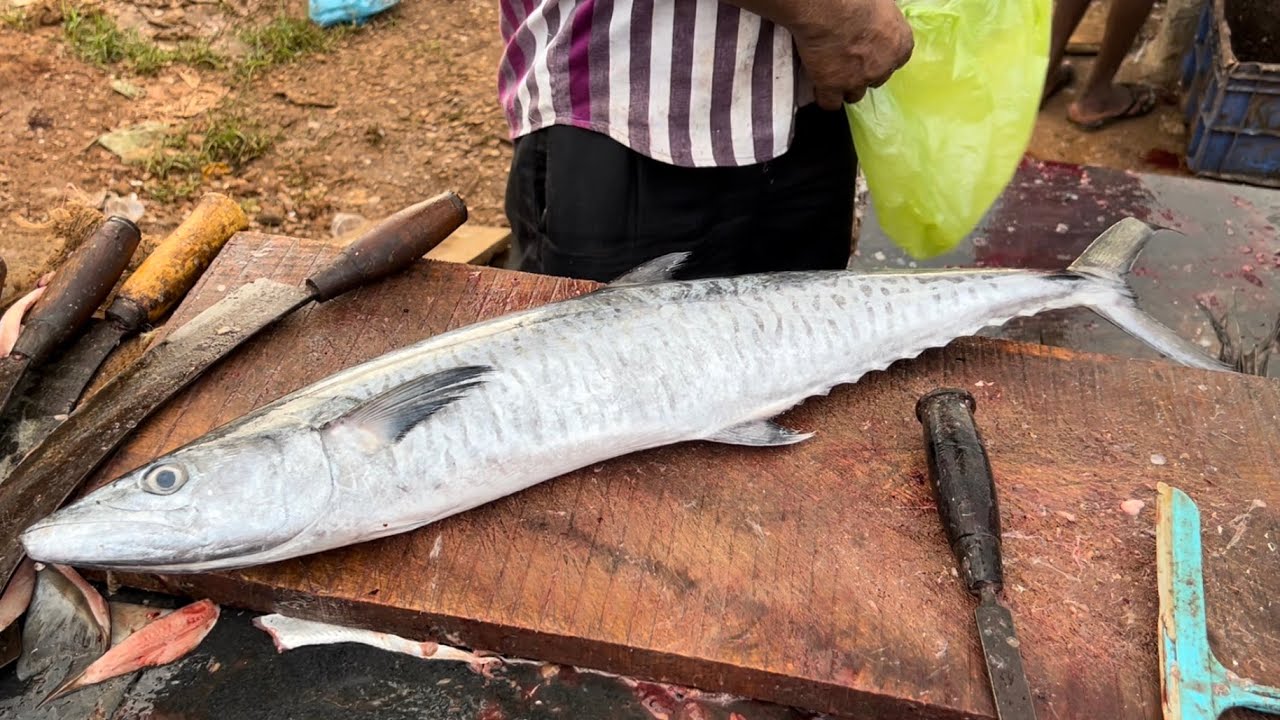 Kingfish cutting skills_5kgs in Goa. #goa #kingfish #reelitfeelit # ...