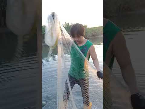 sapaglobog ng haring araw daming huli isda pangulam - YouTube