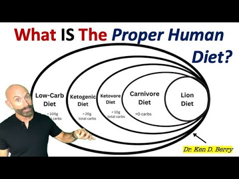 What Should Humans Eat? | Understanding the Proper Human Diet #PHD # ...