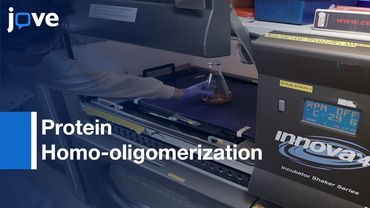 Protein Homo-oligomerization Quantification | Protocol Preview - YouTube
