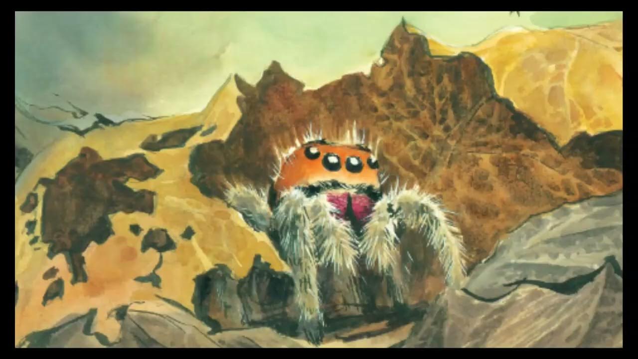 Jumper: A Day in the Life of a Backyard Jumping Spider Book Trailer ...