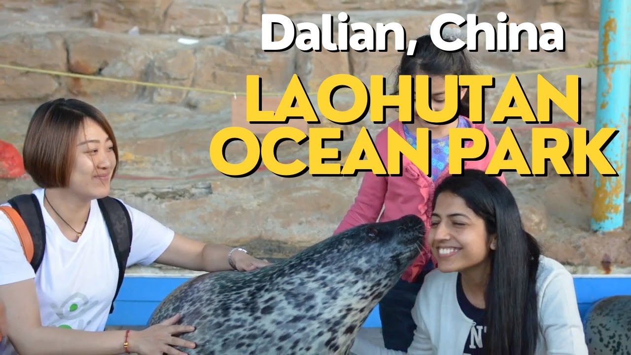Dalian Laohutan Ocean Park- 大连老虎滩海洋公园 - YouTube