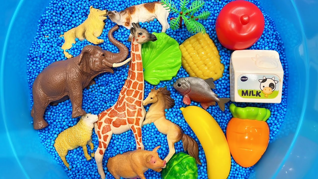 Learn Animal Names and Facts I What Do Animals Eat? I Animal Sounds I ...