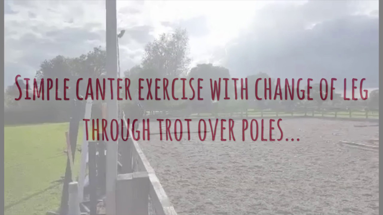 egcavalletti simple canter/trot exercise with 3 poles - YouTube