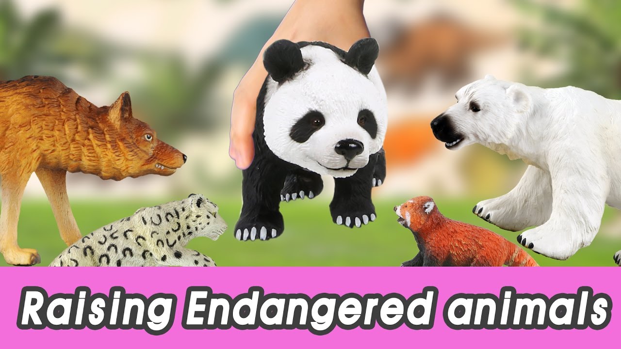 [EN] #68 Endangered animals meet extinct animals, kids education ...