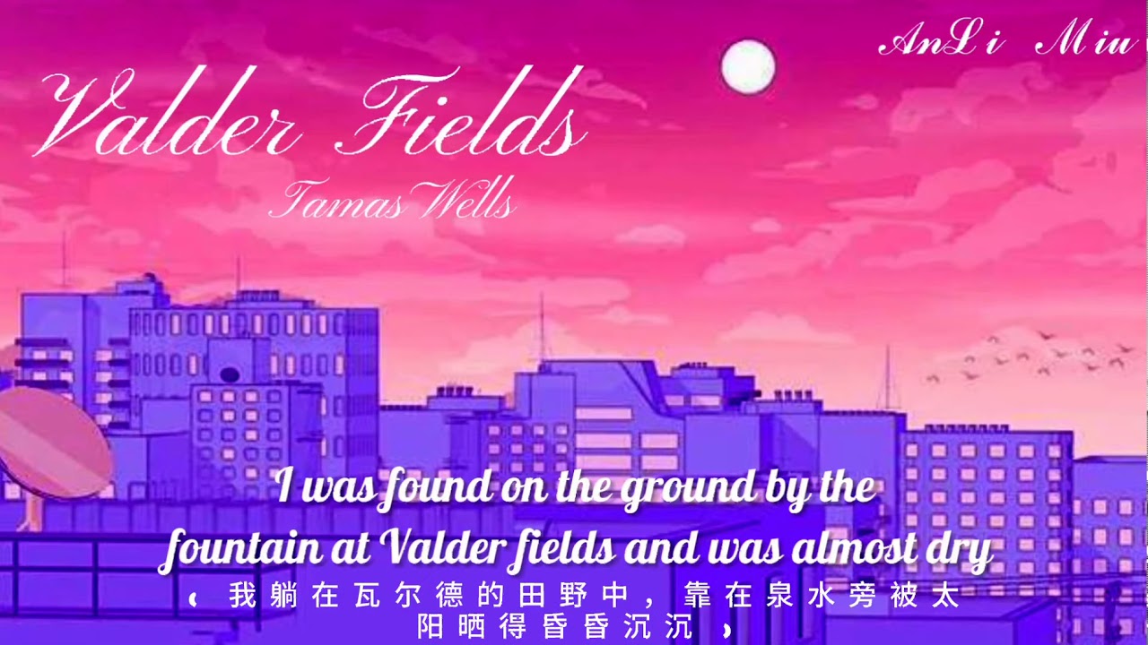 Valder Fields • Tamas Wells (lyrics) - YouTube