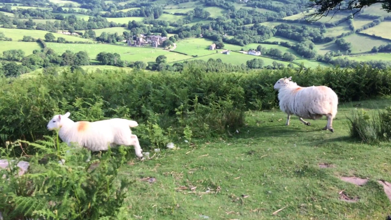 Wales - Walks - Black Mountain - North Hatterall Ridge Descent - YouTube