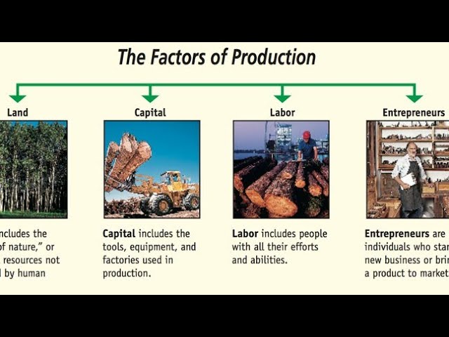 Factors Of Production Examples