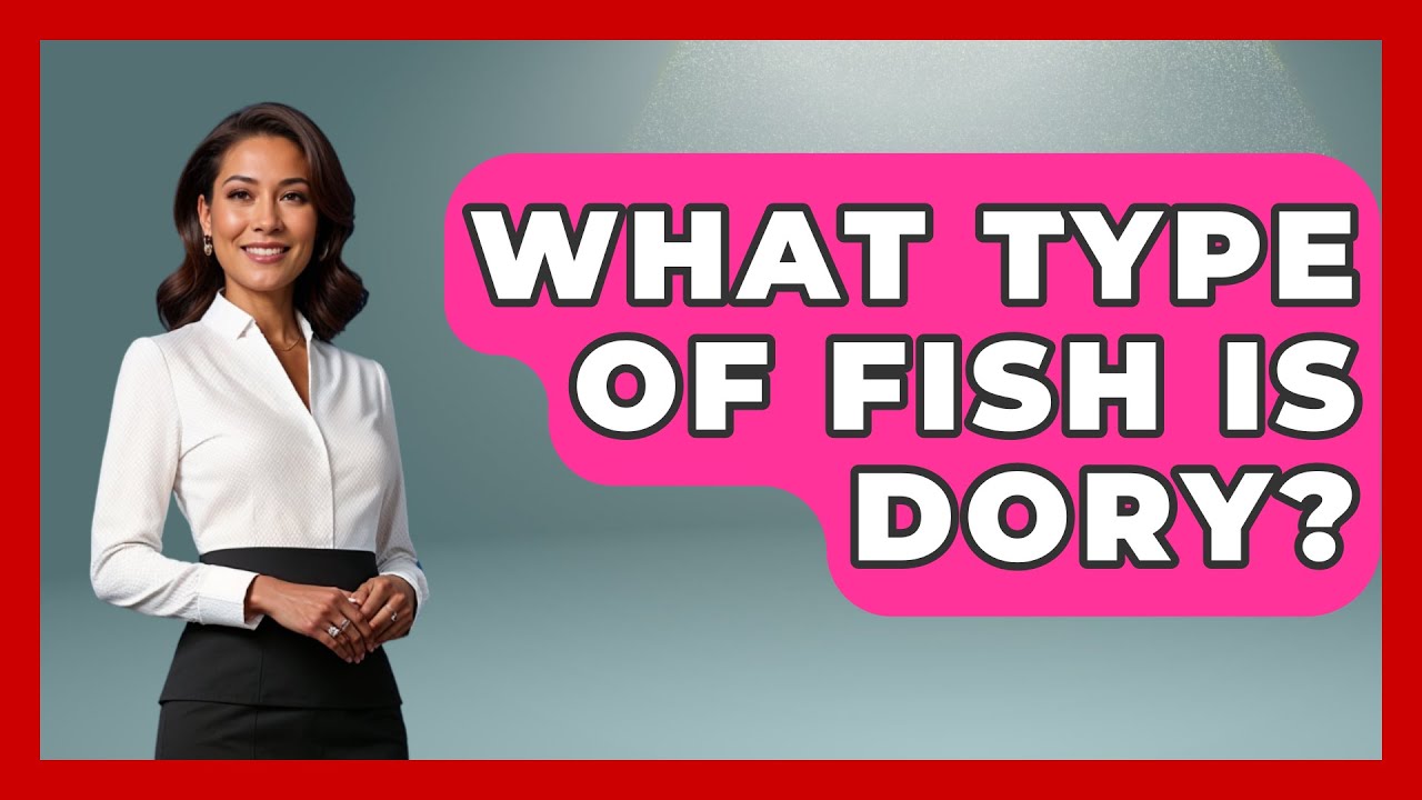 What Type Of Fish Is Dory? - Kingdom Of Treasures - YouTube